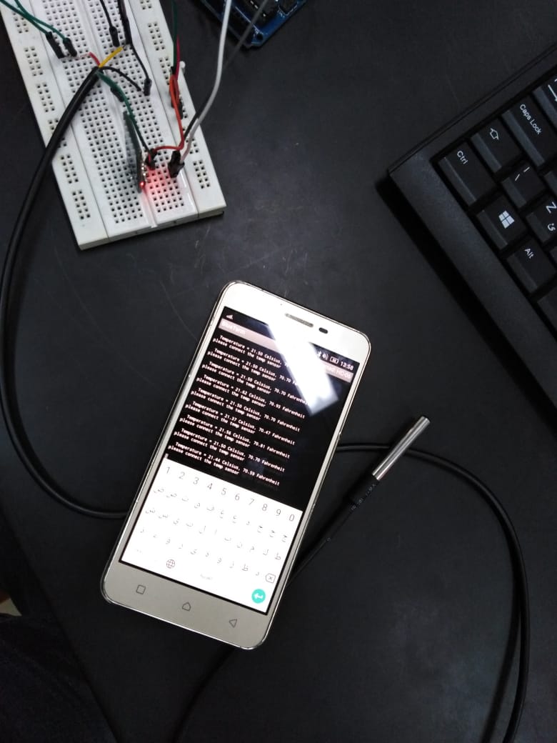 Automated Hydroponic System : 4 Steps - Instructables