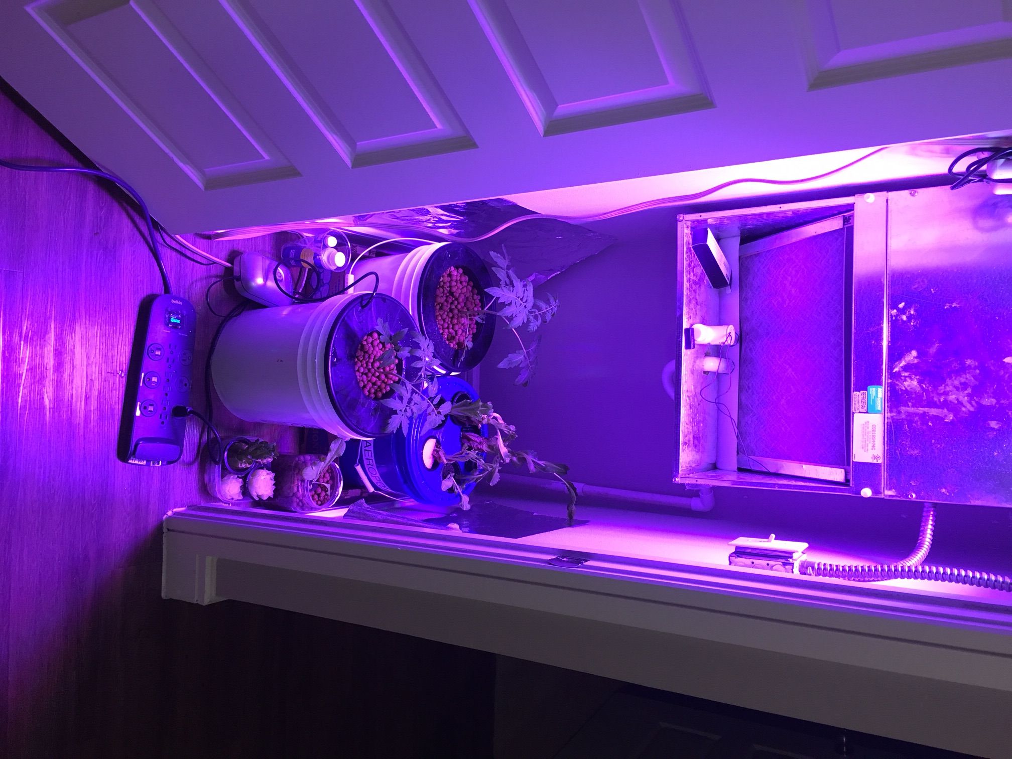 Lettuce for Life - Arduino 101 Based Automated Controller for Hydroponics, Aeroponics ...