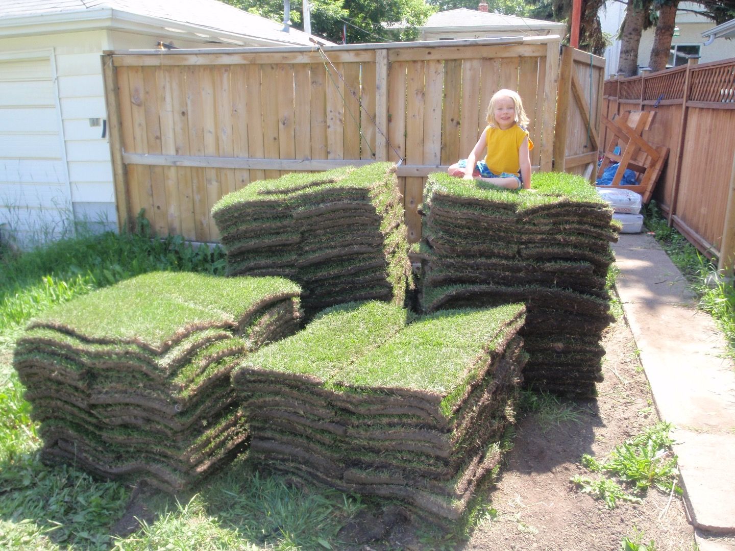 Restore a Backyard With Dead Soil (Before and After) : 9 Steps (with ...