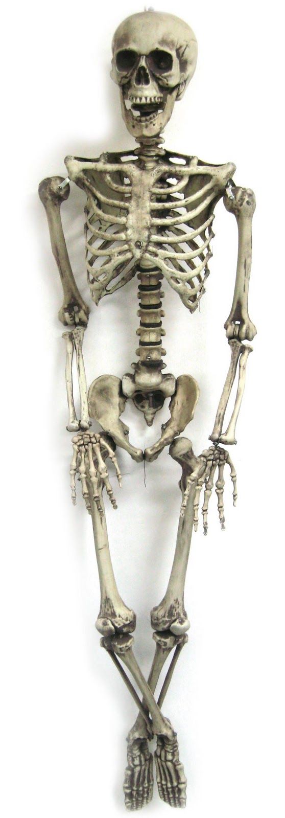 Skeleton Wreath : 7 Steps (with Pictures) - Instructables