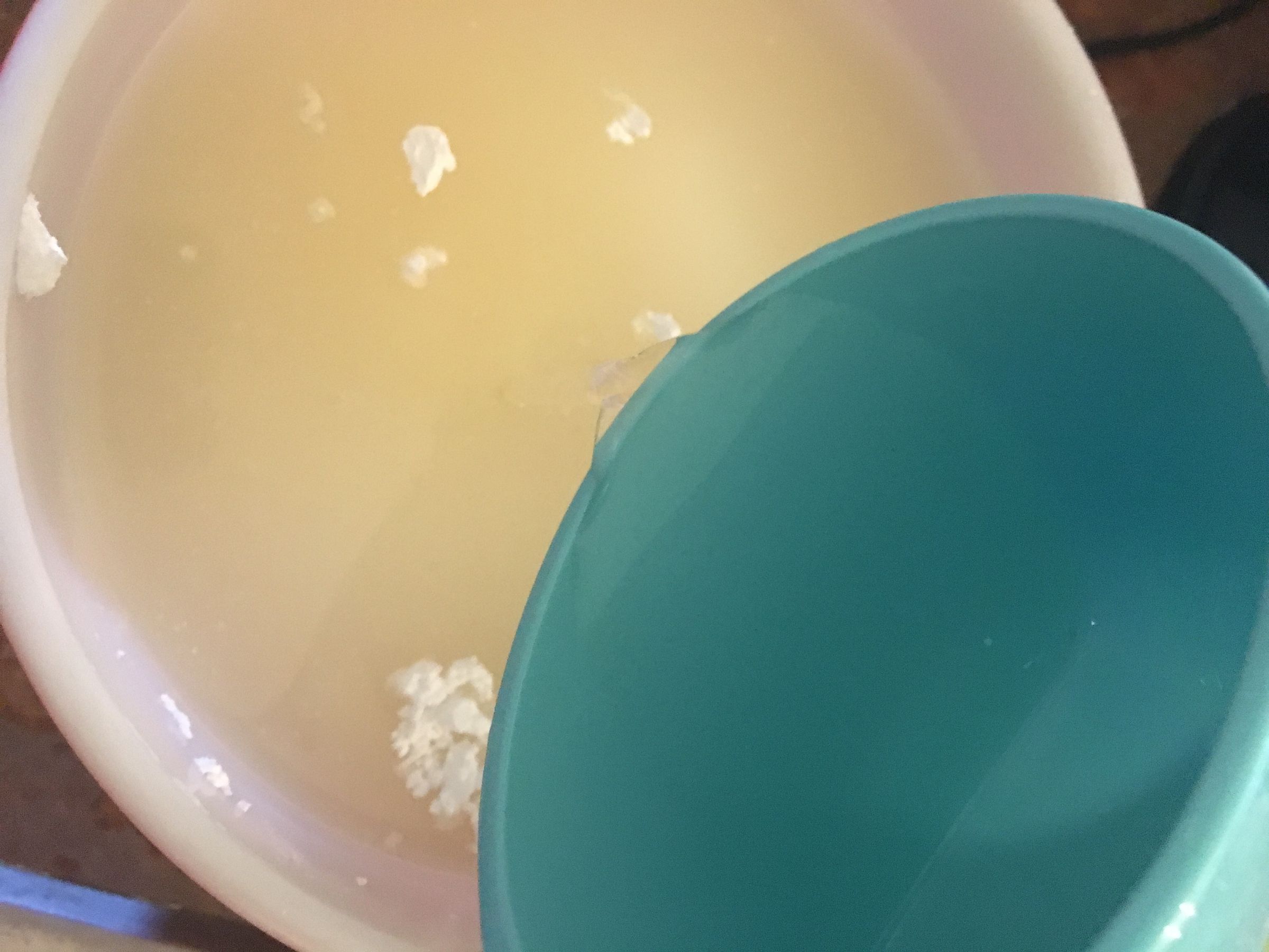 DIY Doggie Septic System With Natural Starter : 14 Steps (with Pictures ...