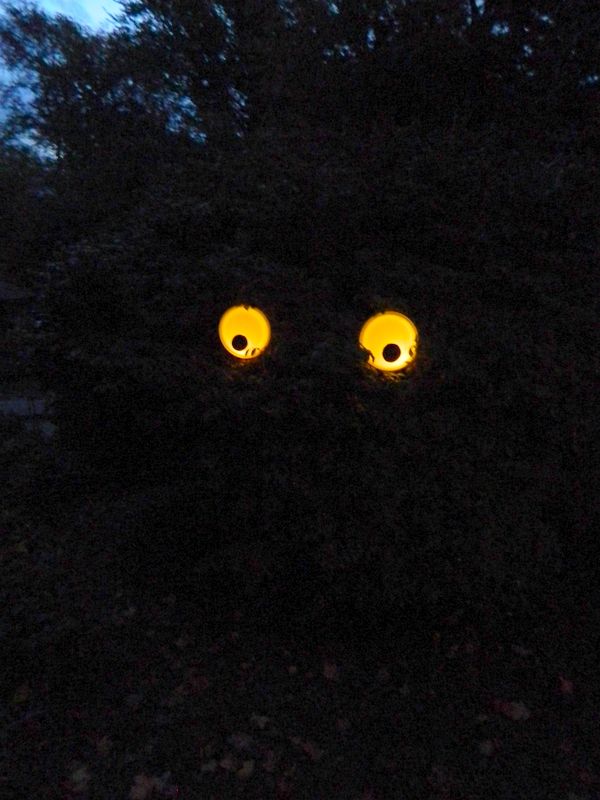 light up spooky eyes DIY Project - Step-by-Step DIY Project | FindingDIY