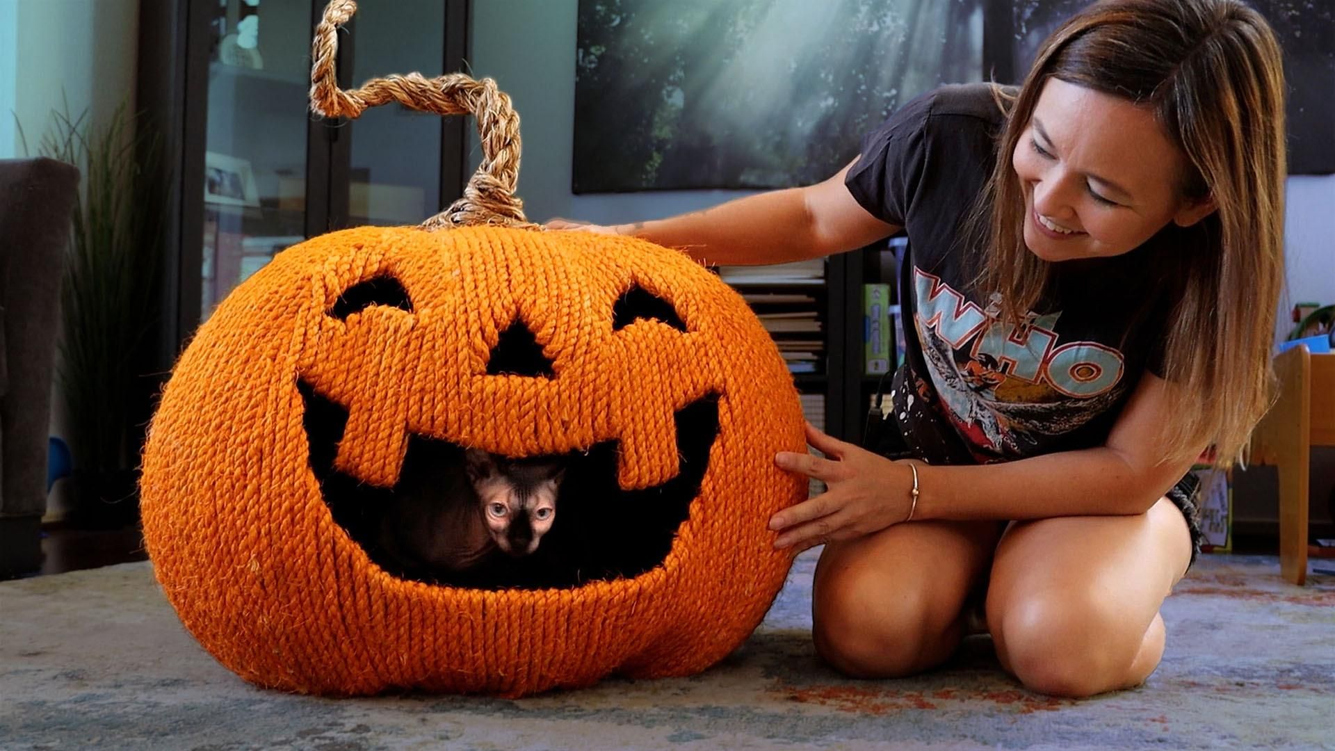 DIY Halloween Cat House : 11 Steps (with Pictures) - Instructables