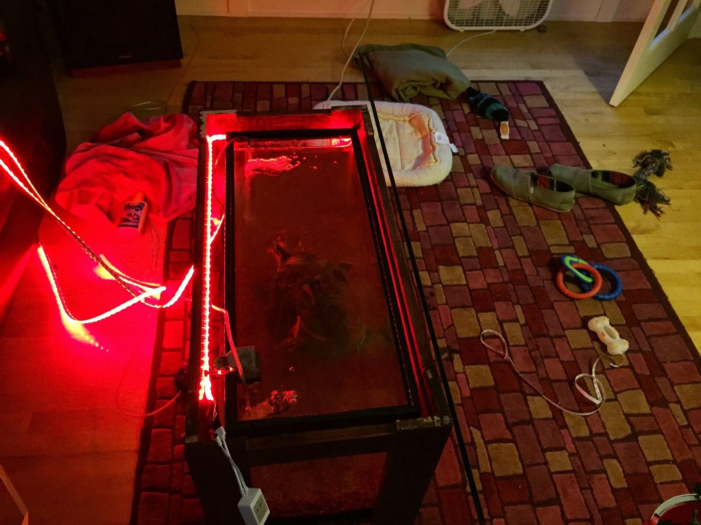 Fish Tank Coffee Table : 6 Steps (with Pictures) - Instructables