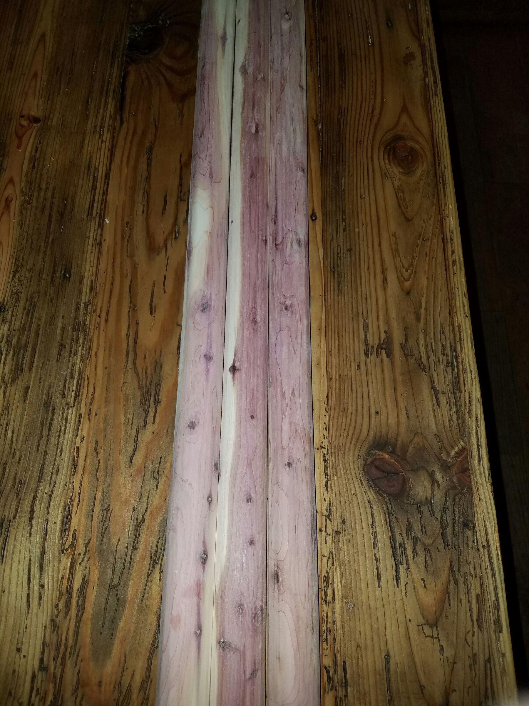 Turning Cedar Trees Into Walking Sticks : 12 Steps (with Pictures ...