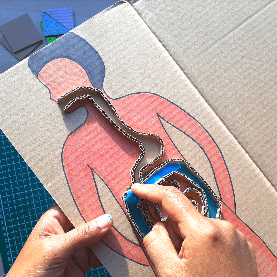 Interactive Digestive System : 9 Steps (with Pictures) - Instructables