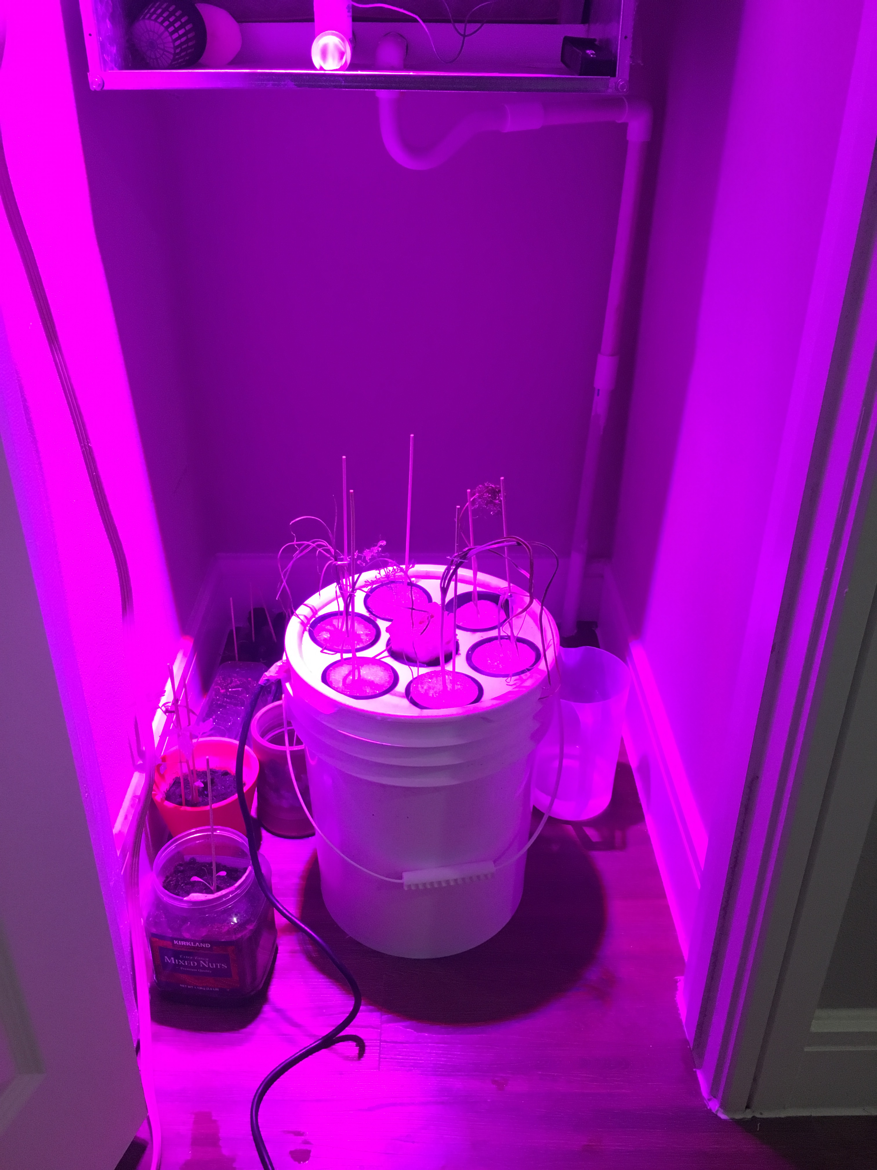 Lettuce for Life - Arduino 101 Based Automated Controller for Hydroponics, Aeroponics ...