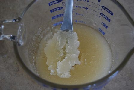 Gel Fish Food : 10 Steps (with Pictures) - Instructables