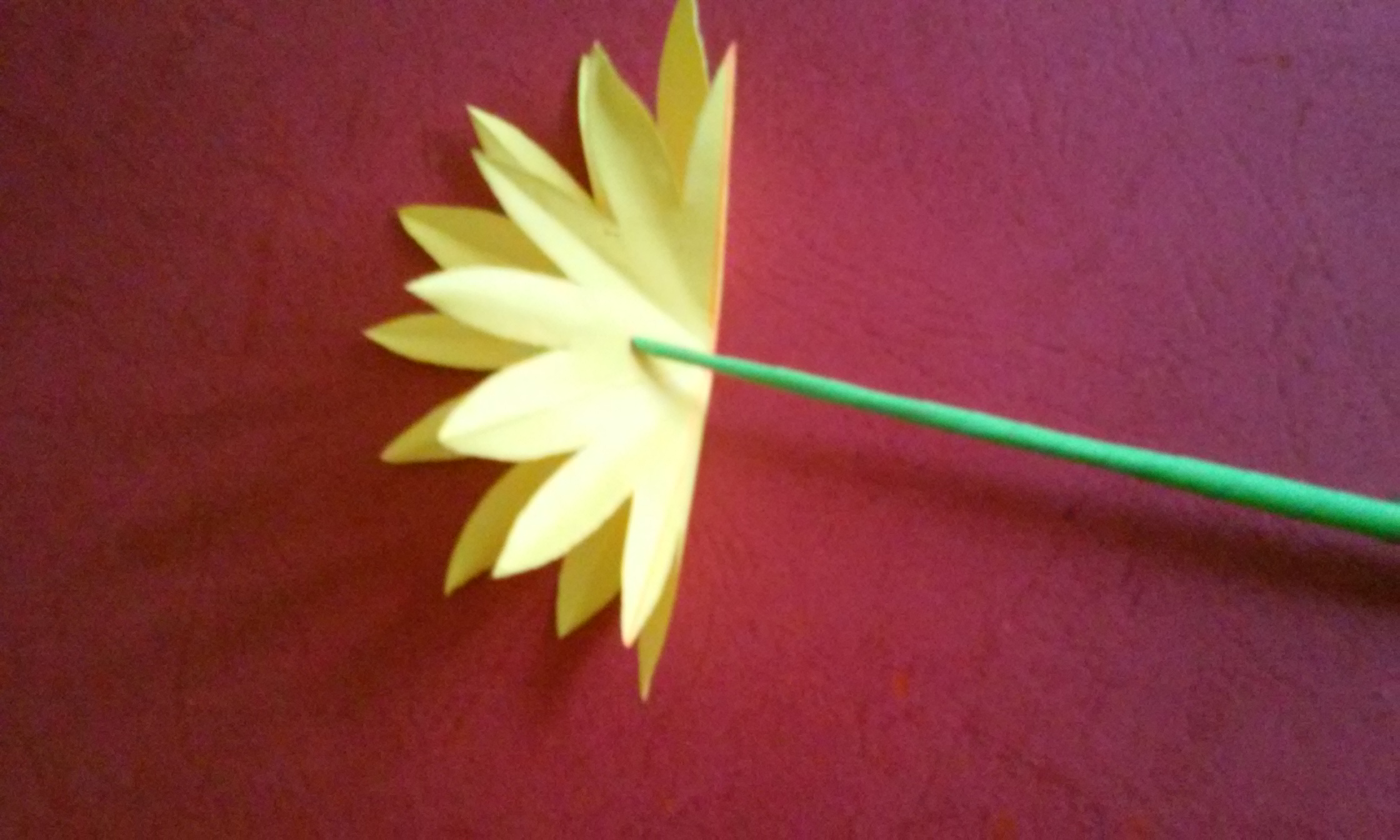 Easy Paper Flowers : 3 Steps - Instructables