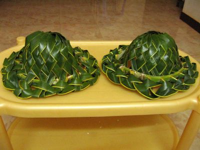 How to Make a Coconut Palm Hat : 16 Steps (with Pictures) - Instructables
