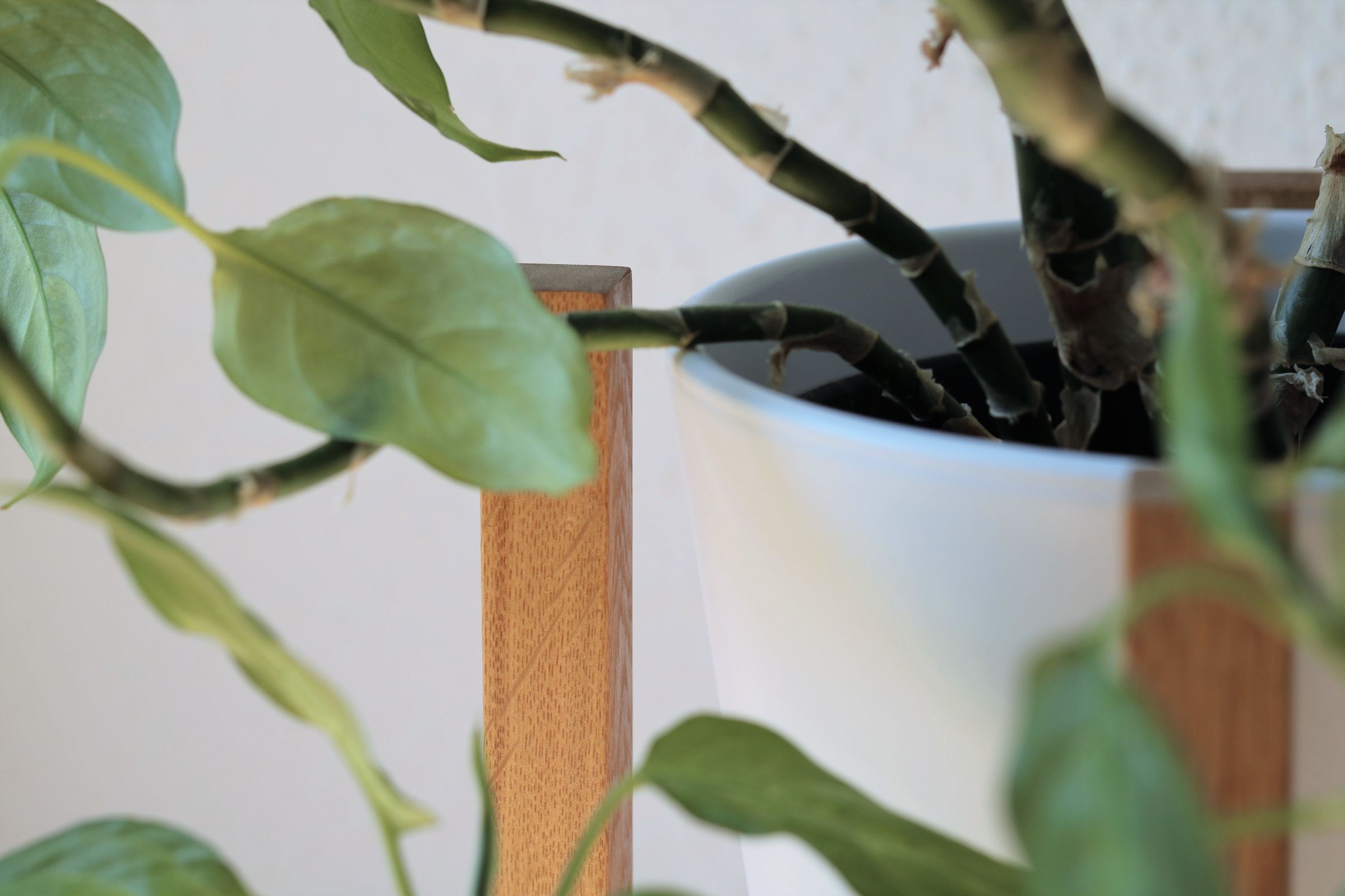 // SIMPLE & LOW BUDGET // Plant Stand : 6 Steps (with Pictures ...