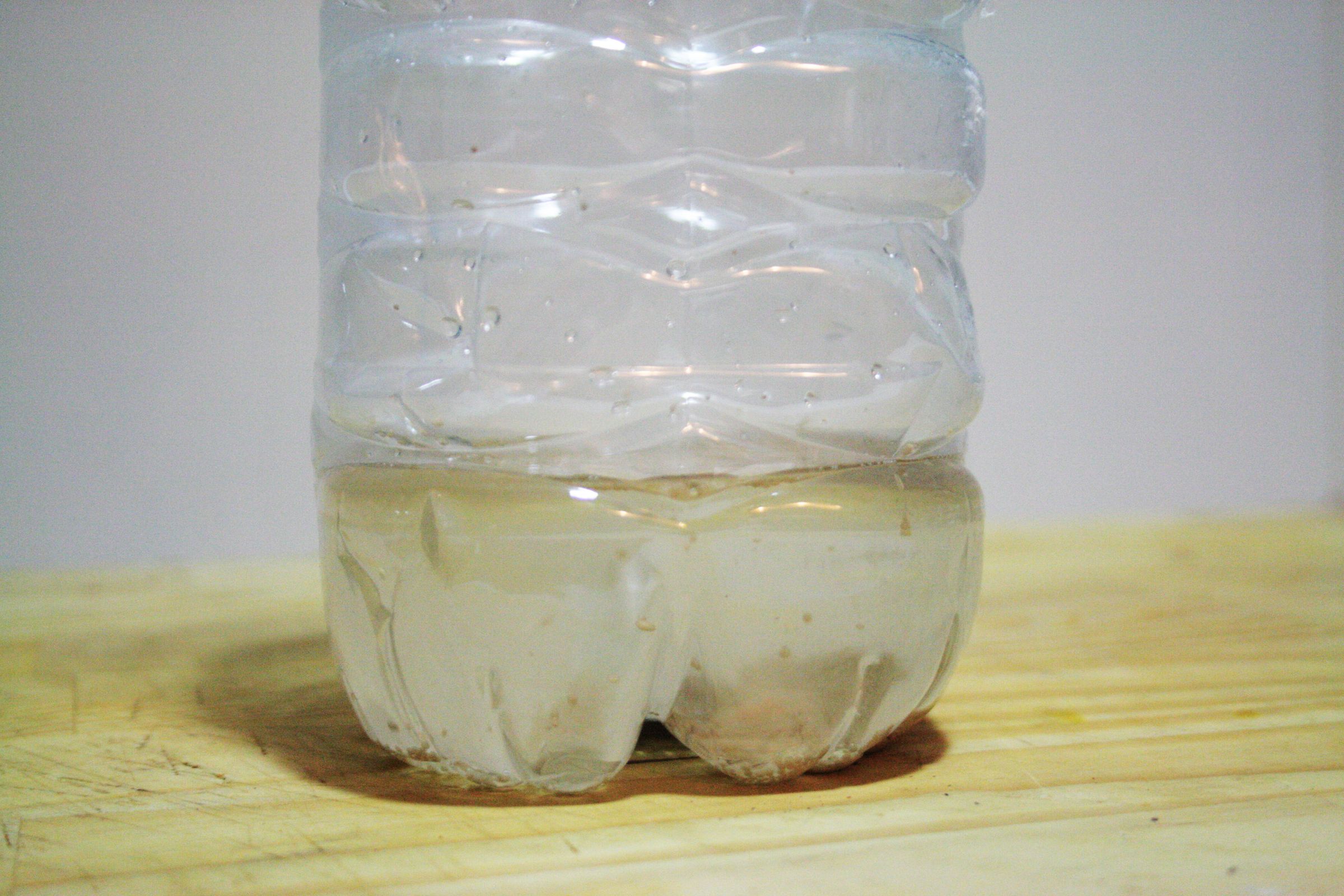 Plastic Bottle Mosquito Trap : 5 Steps (with Pictures) - Instructables
