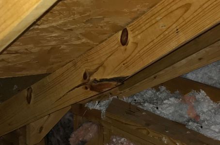 Fix It: Attic Rafter Scab : 4 Steps (with Pictures) - Instructables