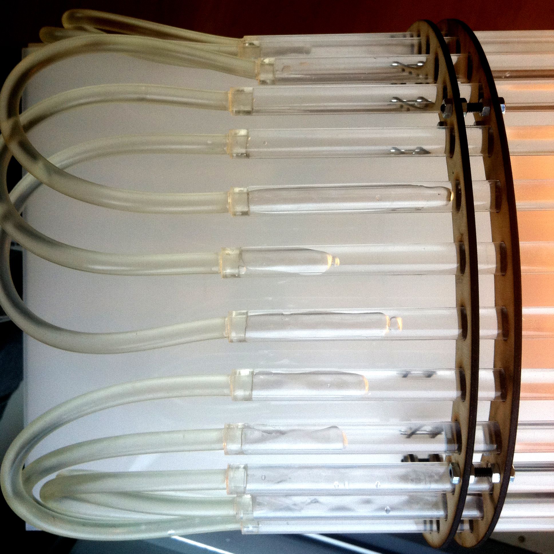 The Algae Experiment: How to Build Your Own Algae Photo-bioreactor ...