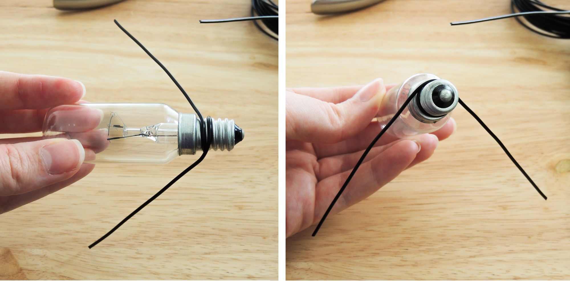 DIY Light Bulb Bugs : 6 Steps (with Pictures) - Instructables