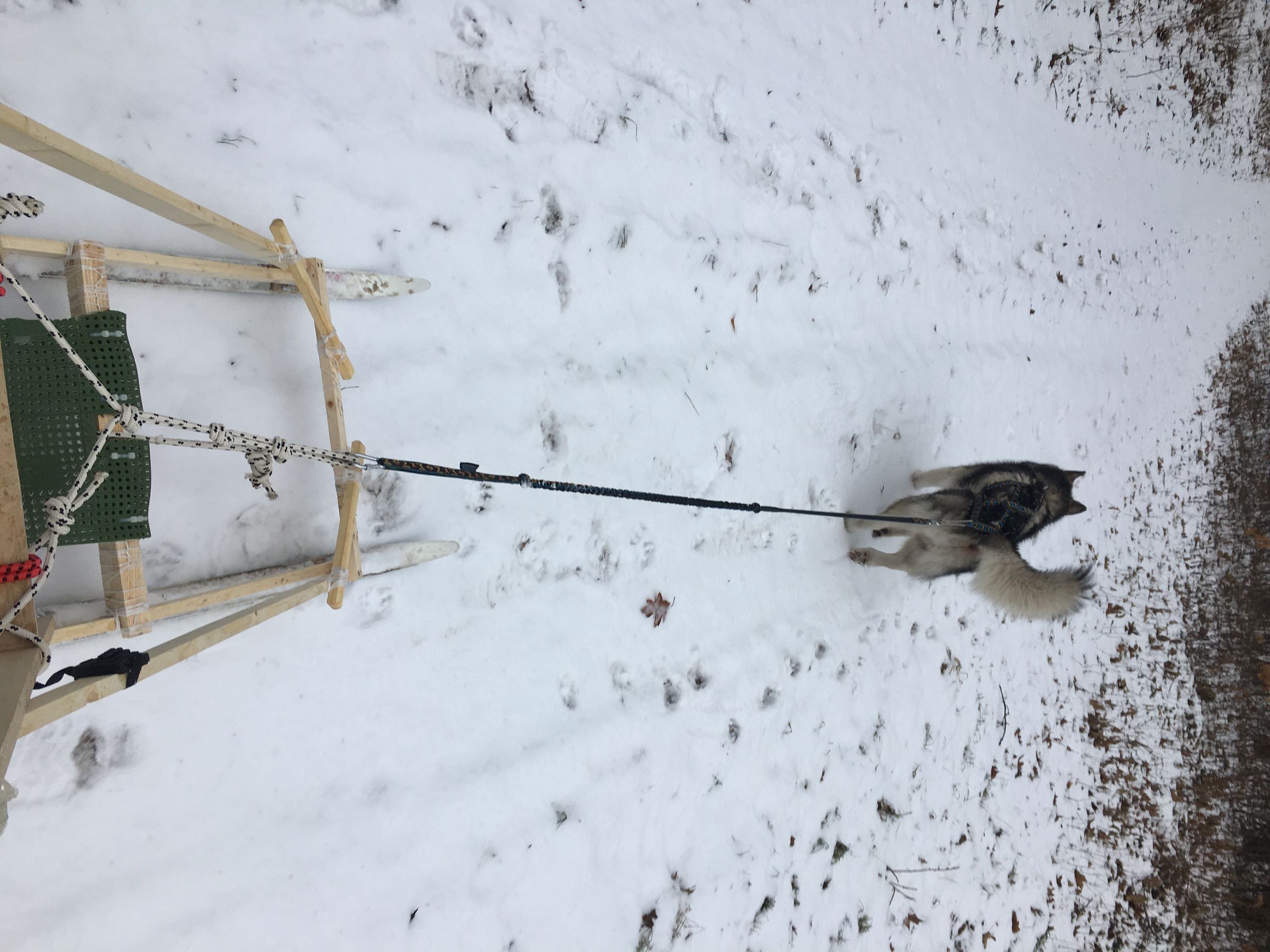Homemade Dogsled (kicksled) : 8 Steps (with Pictures) - Instructables