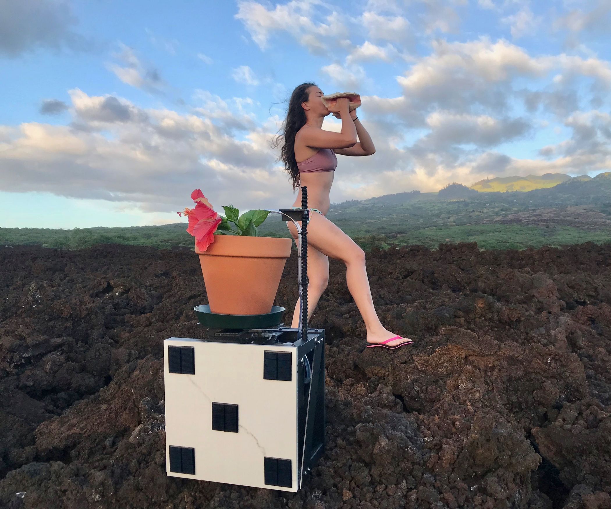 Solar Weight-Based Plant Management With ESP32 : 7 Steps (with Pictures) - Instructables