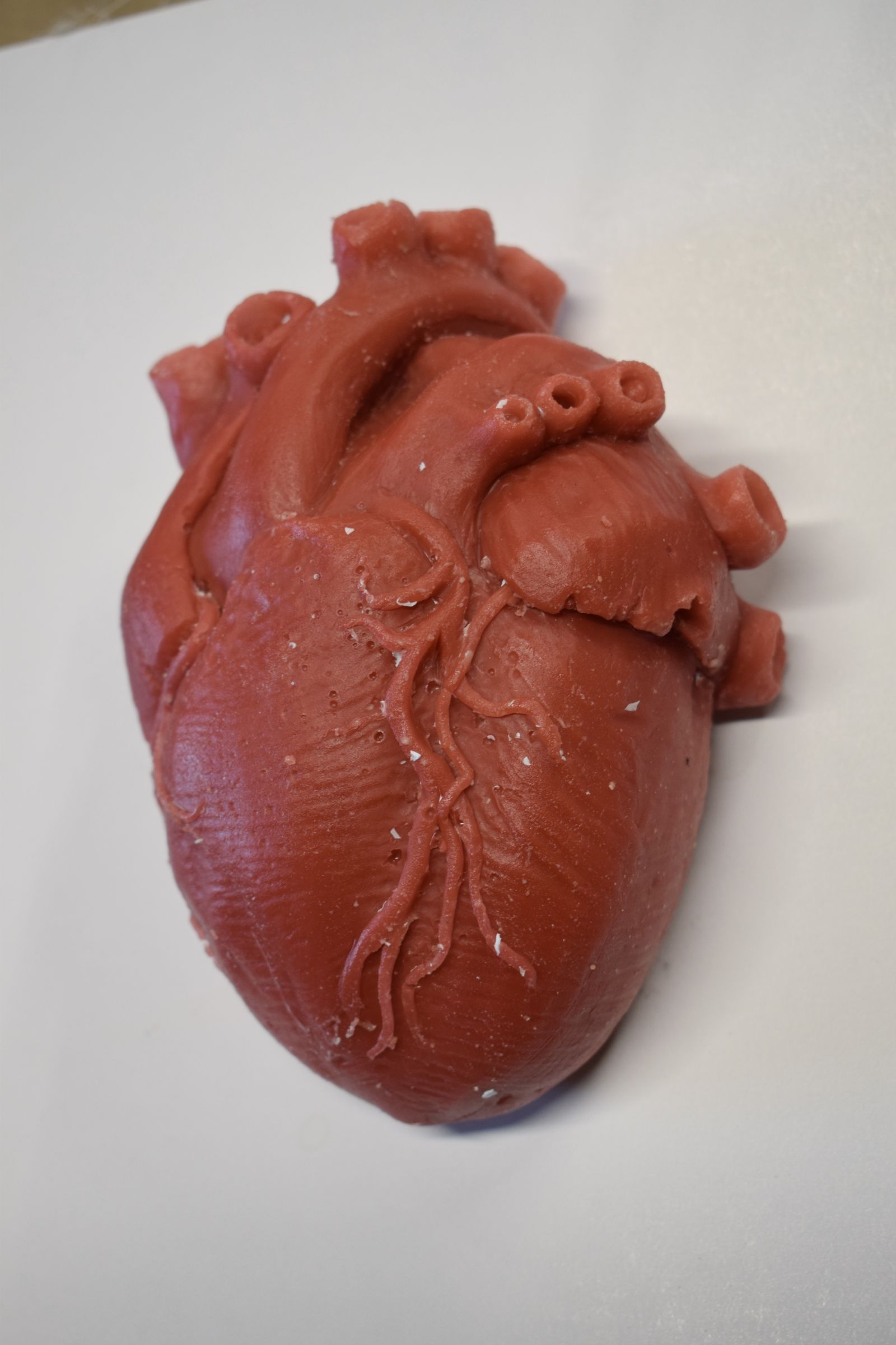 Silicone Skin 3D Printed Realistic Animatronic Heart : 5 Steps (with ...
