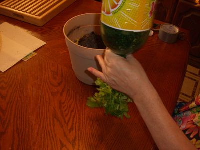 Go Green Upside Down Hanging Planters : 10 Steps (with Pictures ...