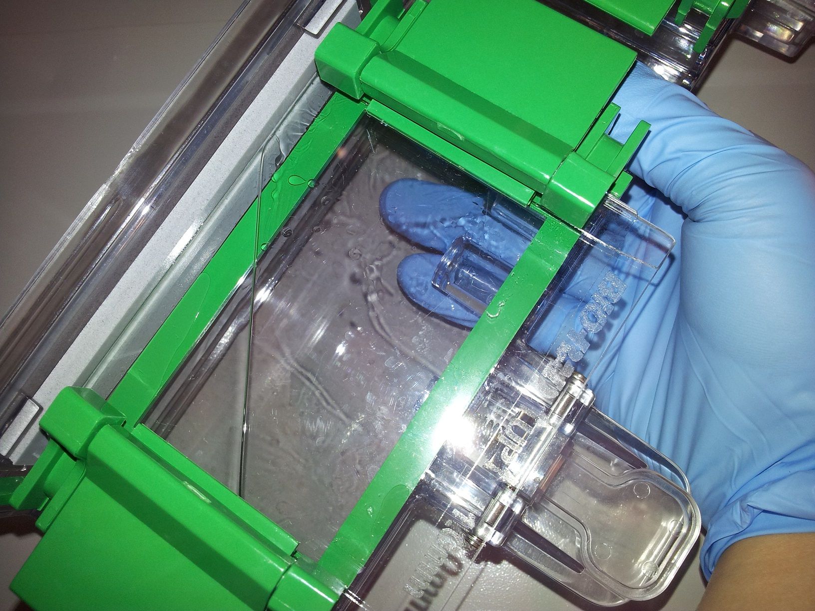 Evaluation for an APS/TEMED Aliquot in the SDS-PA Gel Protocol : 8 ...