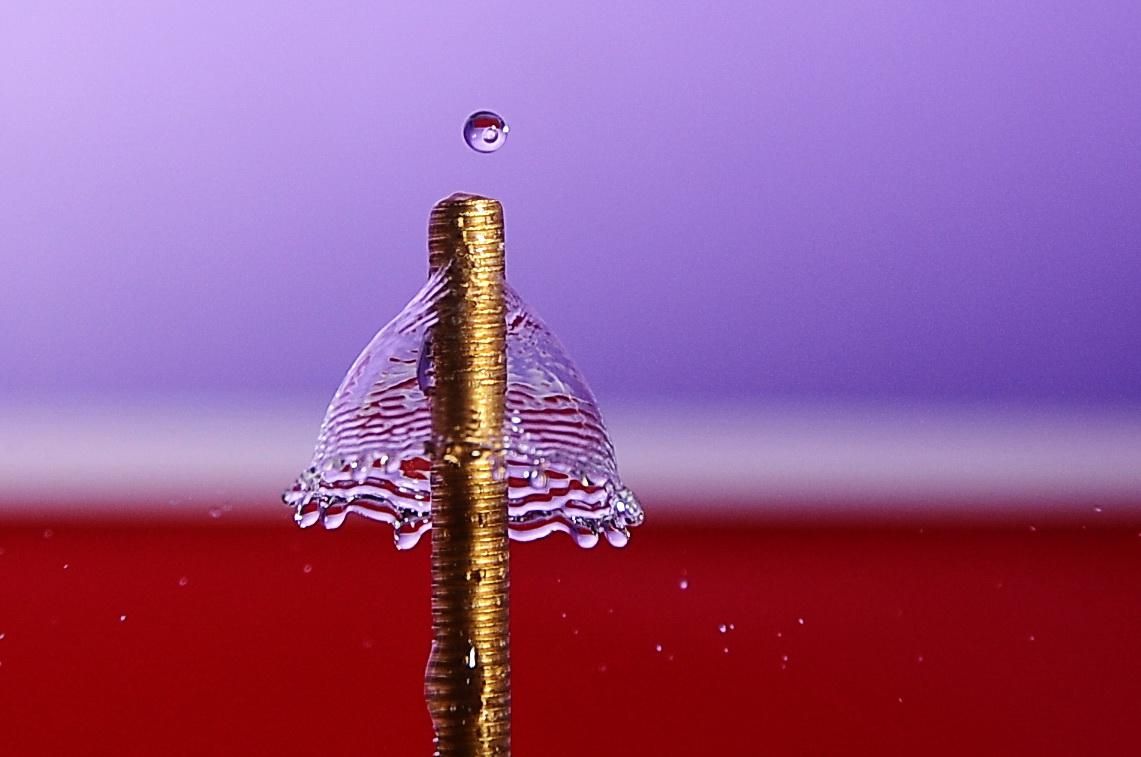 Splash! Water Droplet Photography : 10 Steps (with Pictures ...