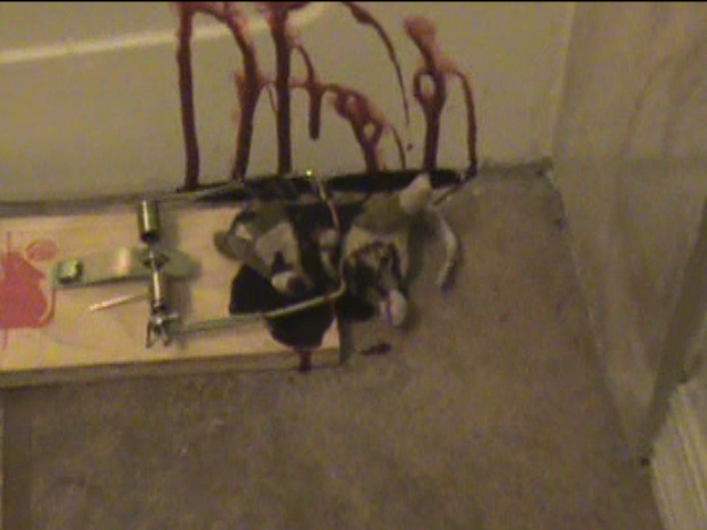 Setting Up the Dead Rat Prank!!! : 6 Steps - Instructables