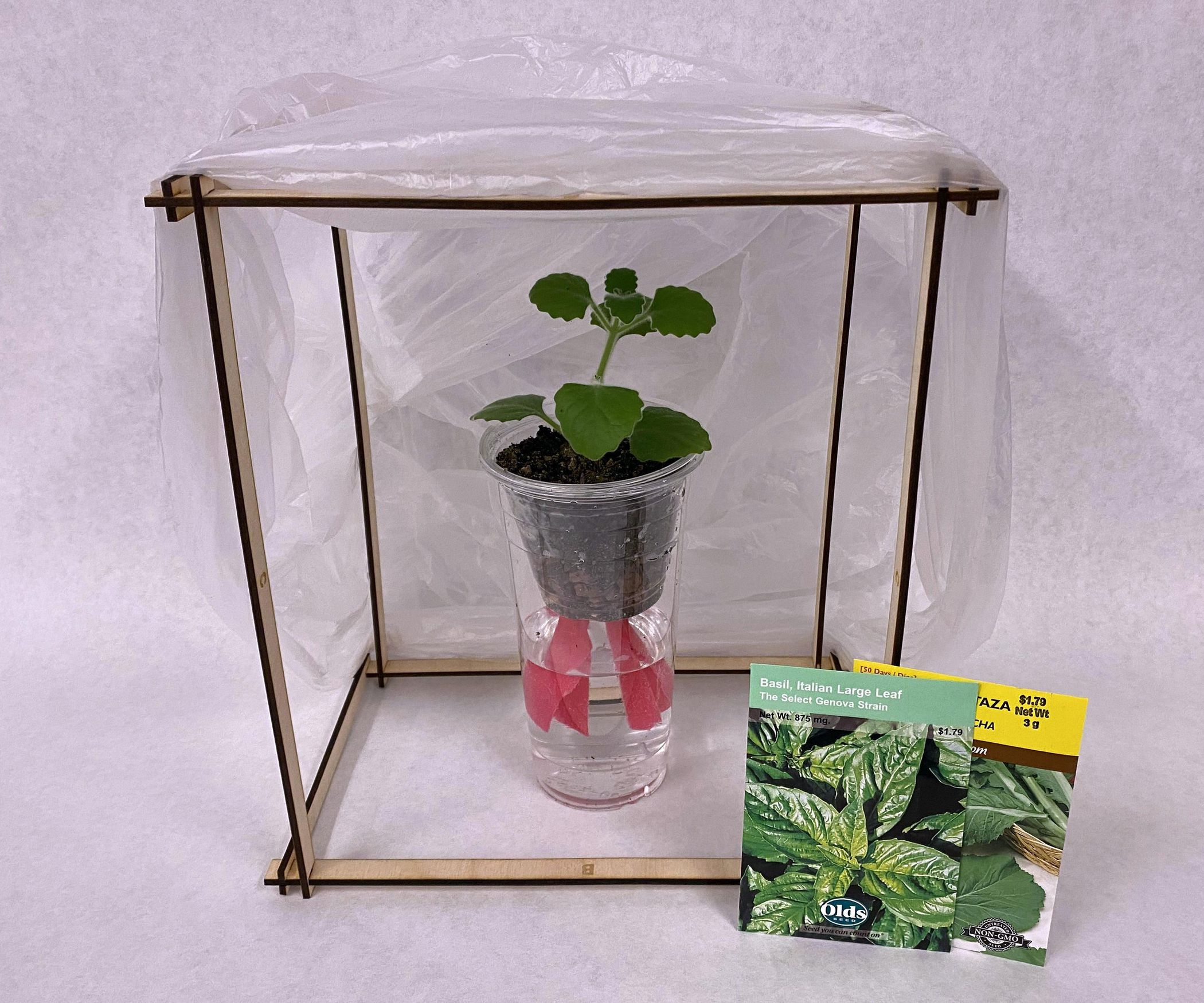 Self Watering Planter & Tabletop Greenhouse : 10 Steps - Instructables