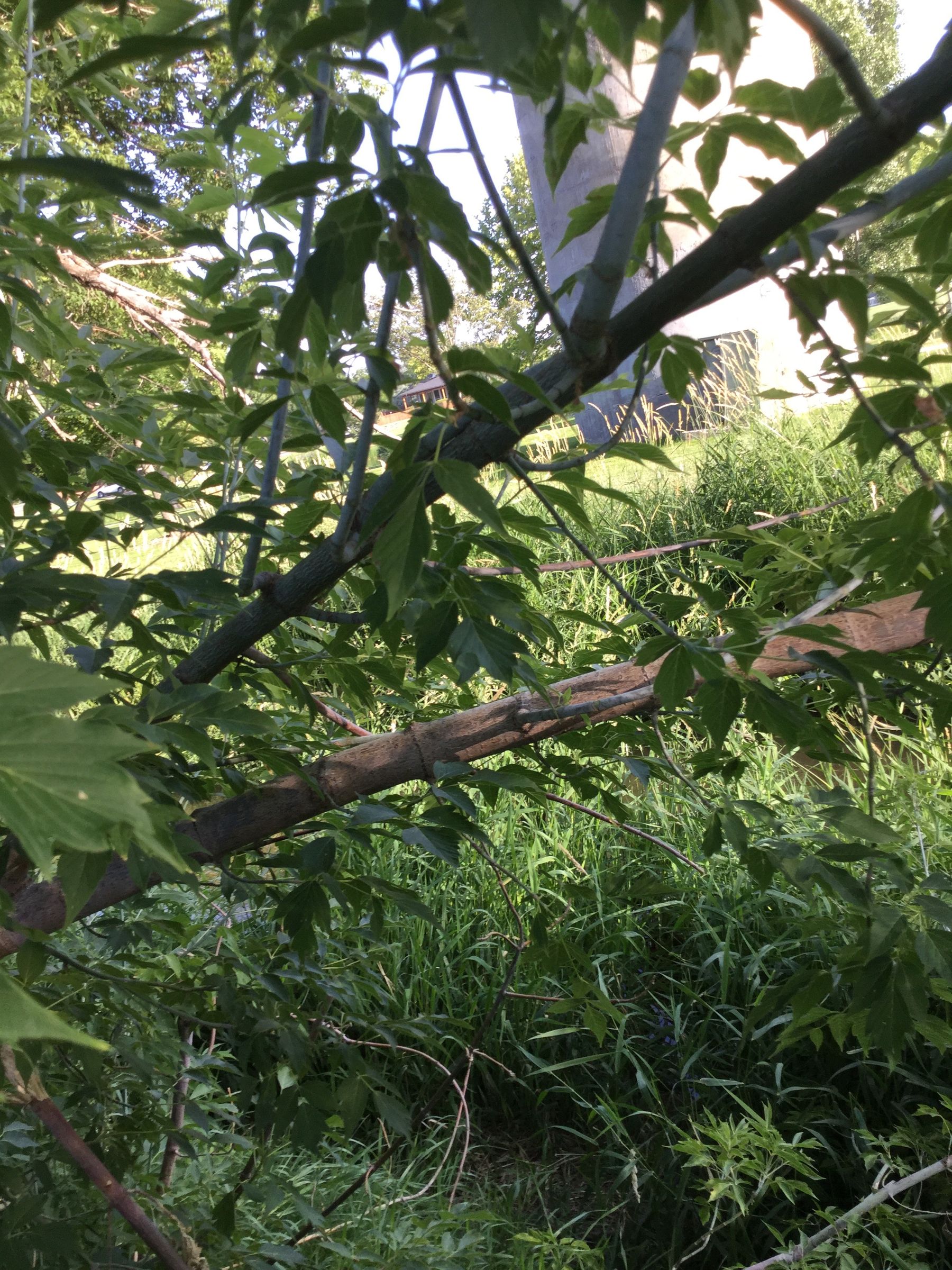 Homemade Bow and Arrow : 7 Steps - Instructables