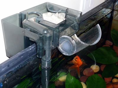 How to Awesome-ize Your HOB Power Filter With Just a Plastic Cup : 10 ...