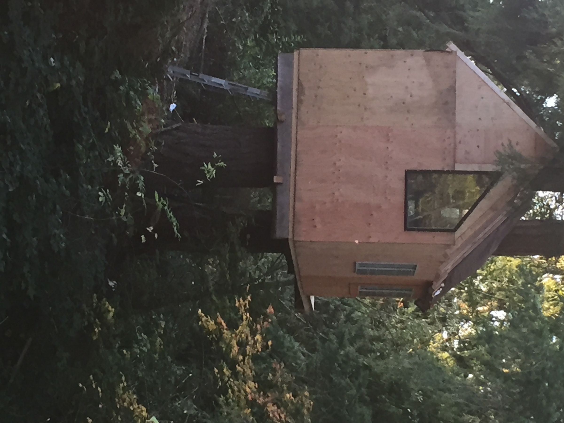 Treehouse Build : 10 Steps (with Pictures) - Instructables