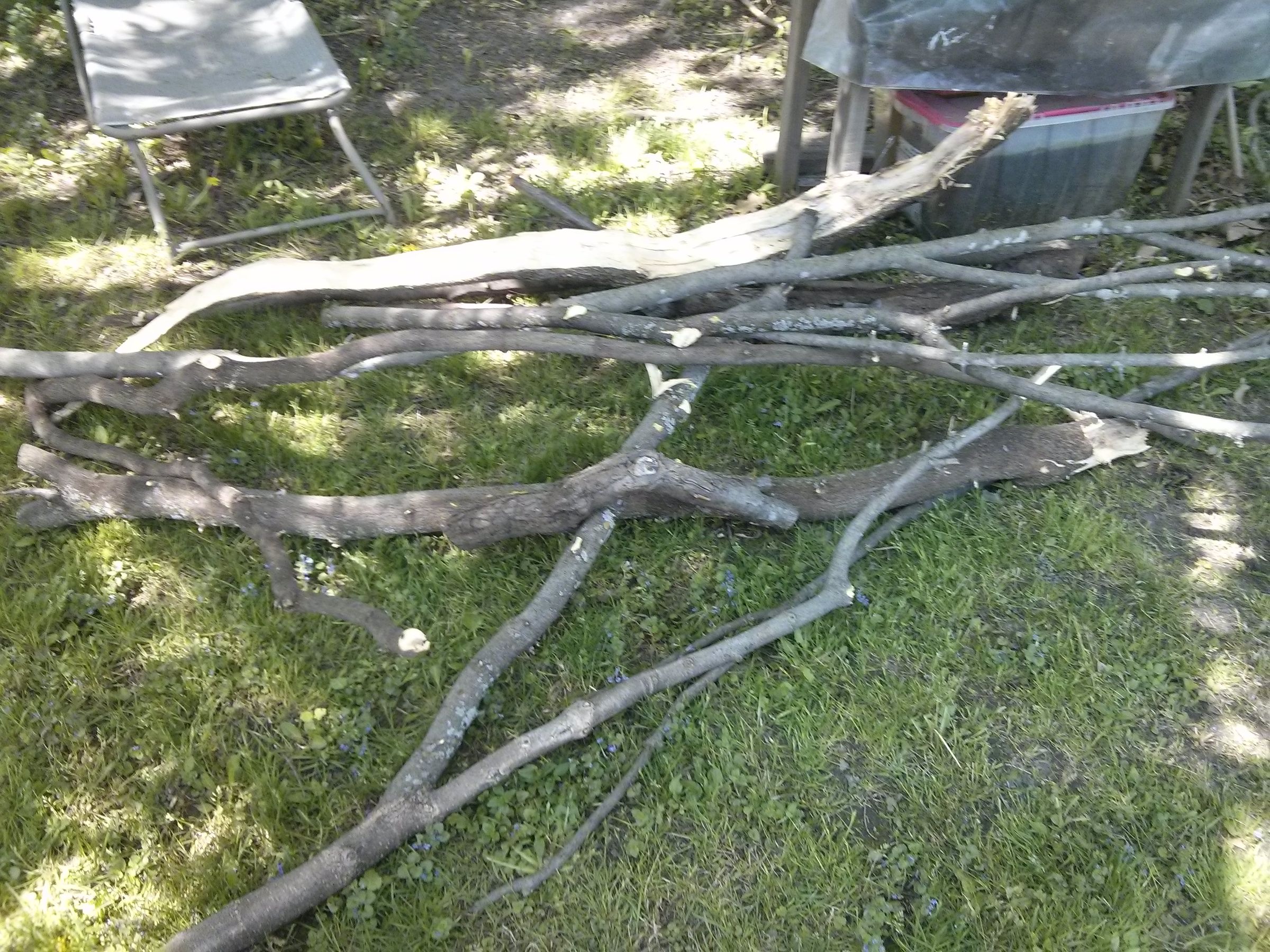 Decorative Garden Bench Made From Fallen Tree Limbs : 9 Steps ...