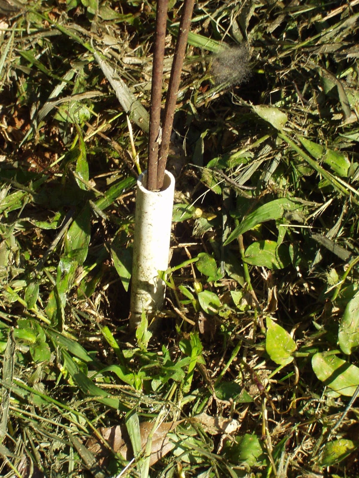 A REBAR TRELLIS - for Home and Garden : 9 Steps - Instructables