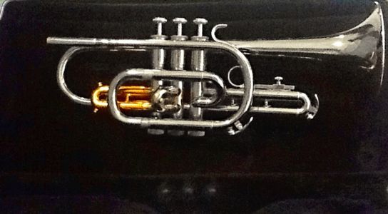 Basic Maintenance of a Cornet : 9 Steps - Instructables