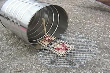 Live Catch Trap : 8 Steps - Instructables