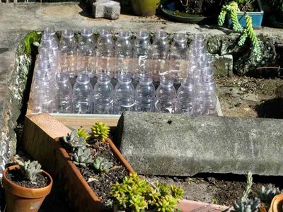 Plastic Bottle Planter Box : 16 Steps (with Pictures) - Instructables