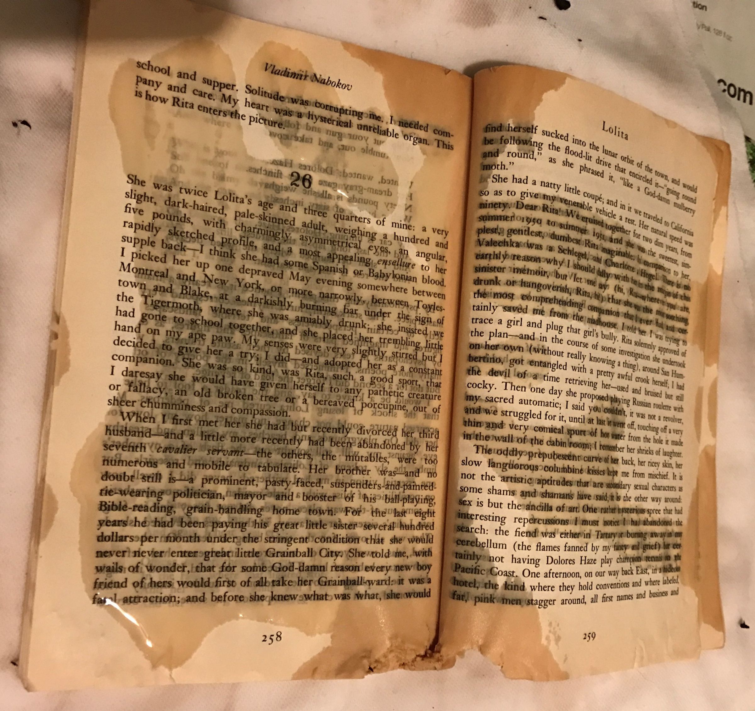 How to Destroy a Book in Seven Easy Steps : 7 Steps - Instructables