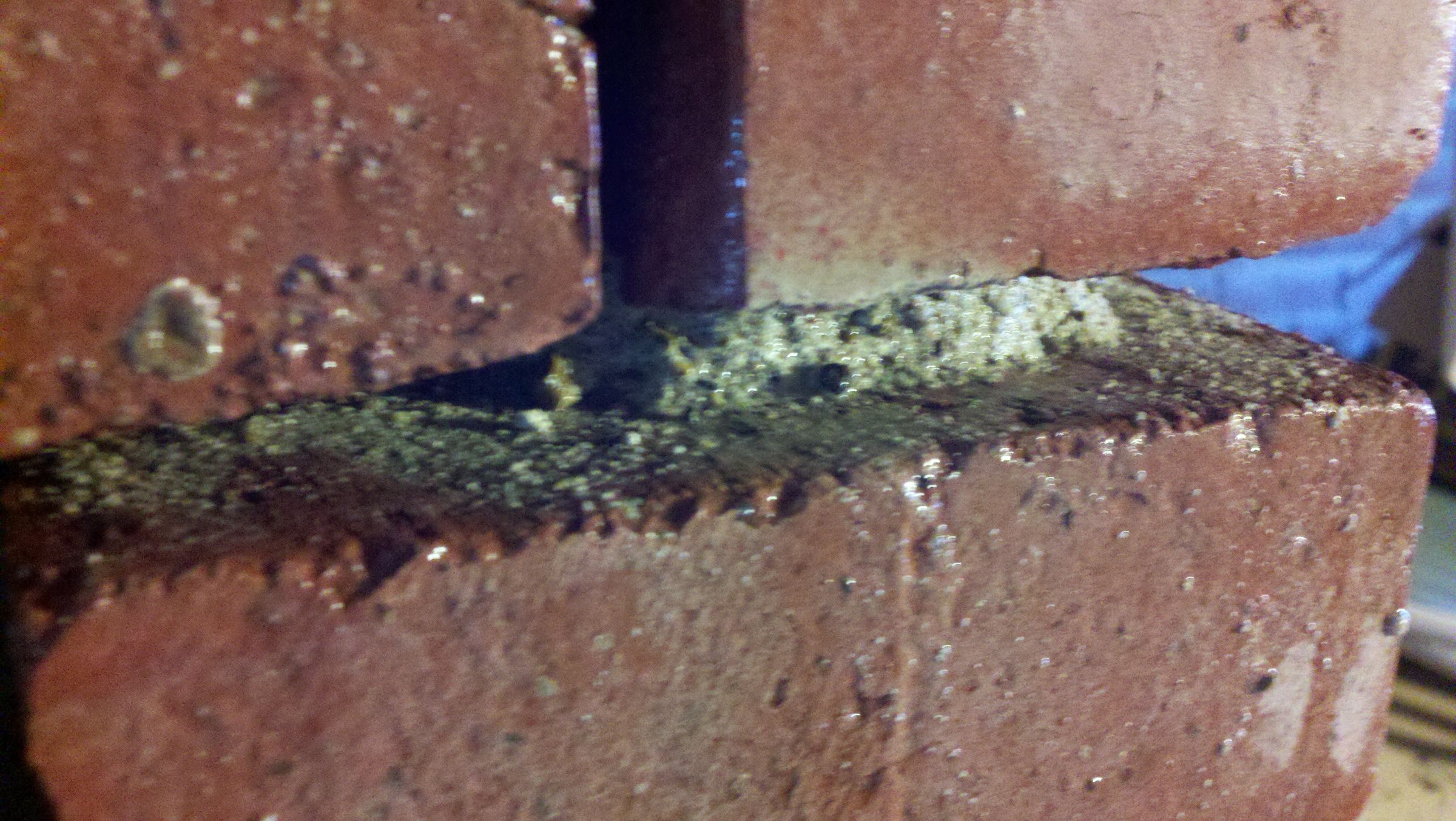 Repointing Pre-1920 Brick in a Historic Home. : 15 Steps (with Pictures ...