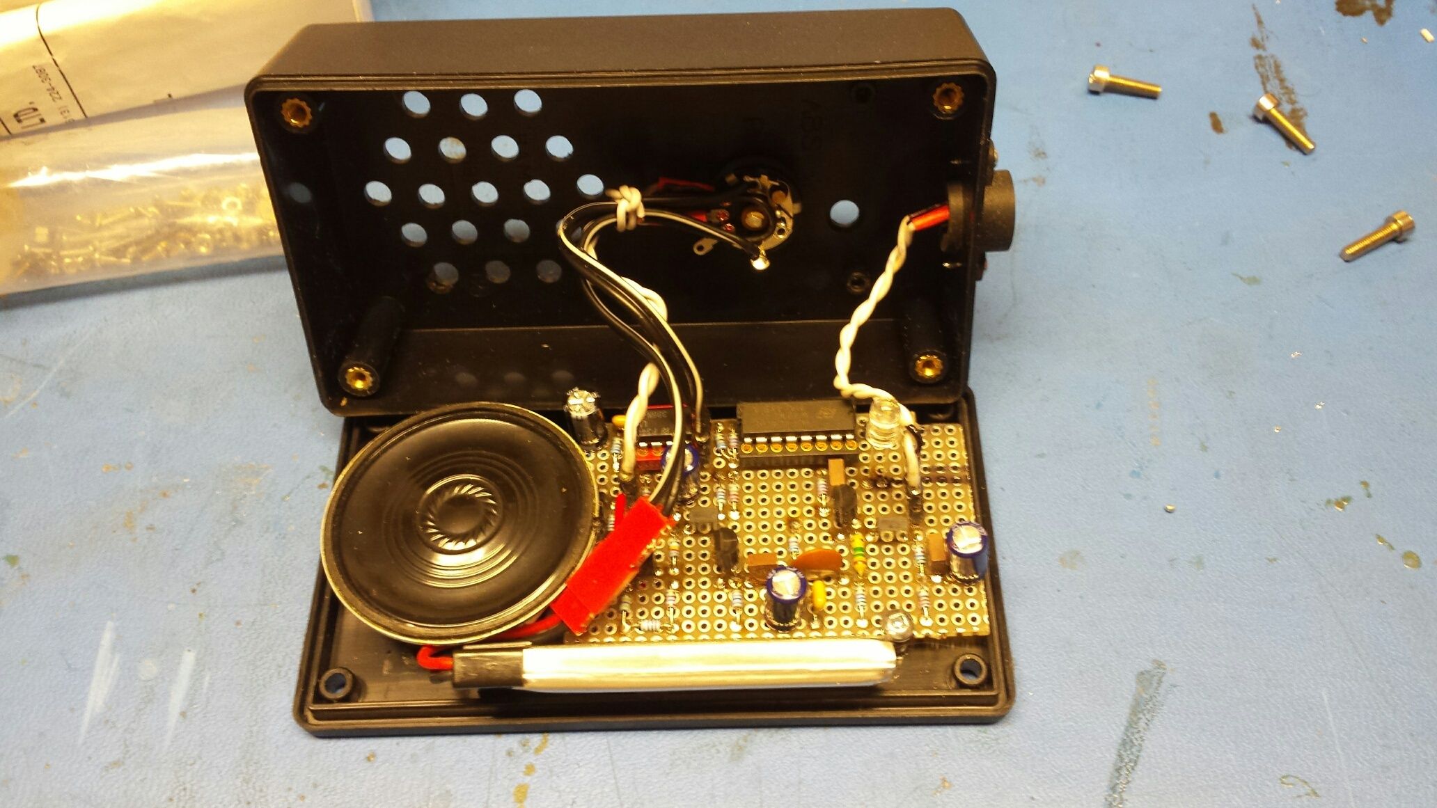 Bat Detector : 6 Steps (with Pictures) - Instructables