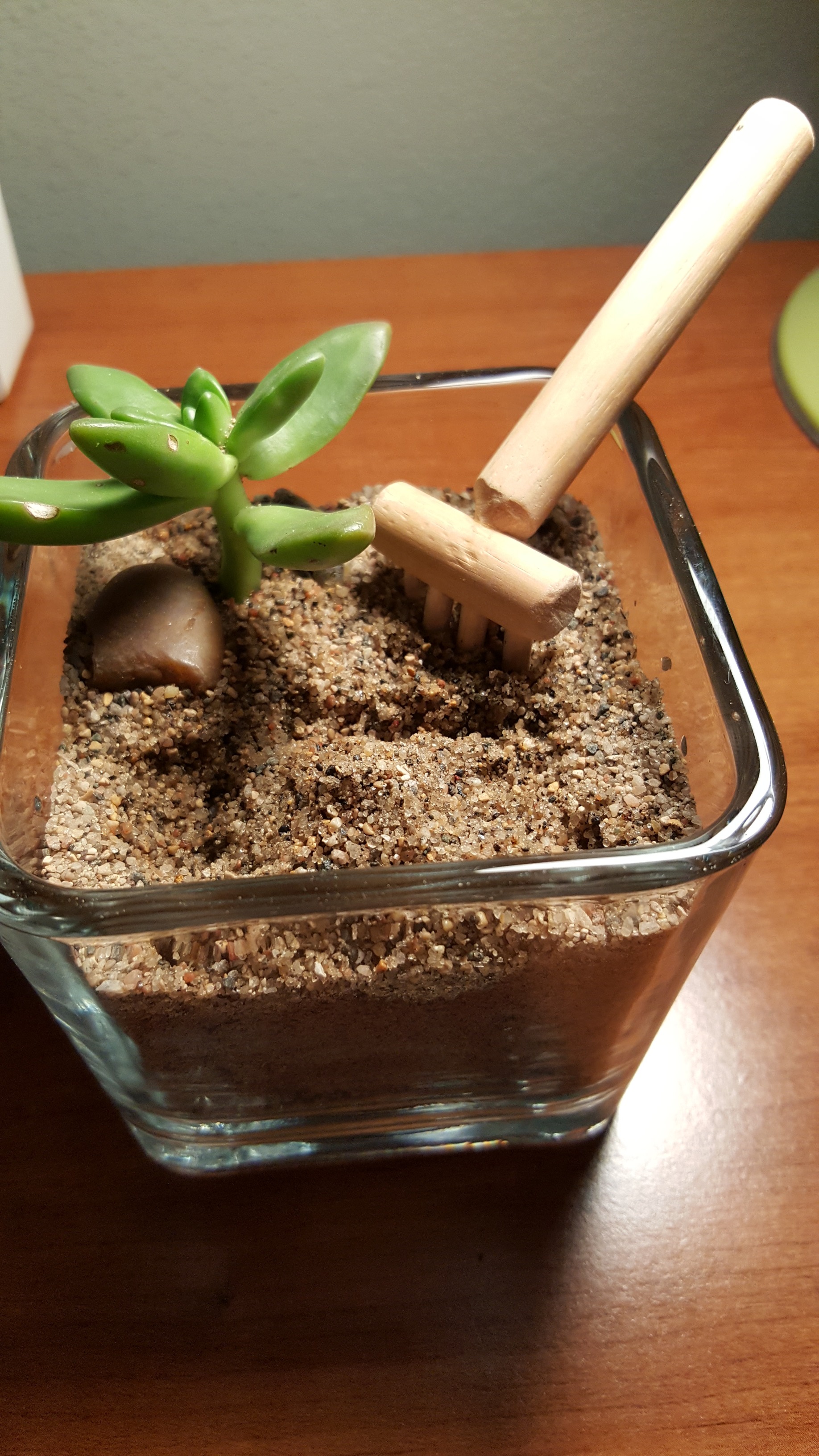 Desktop Zen Garden : 9 Steps (with Pictures) - Instructables