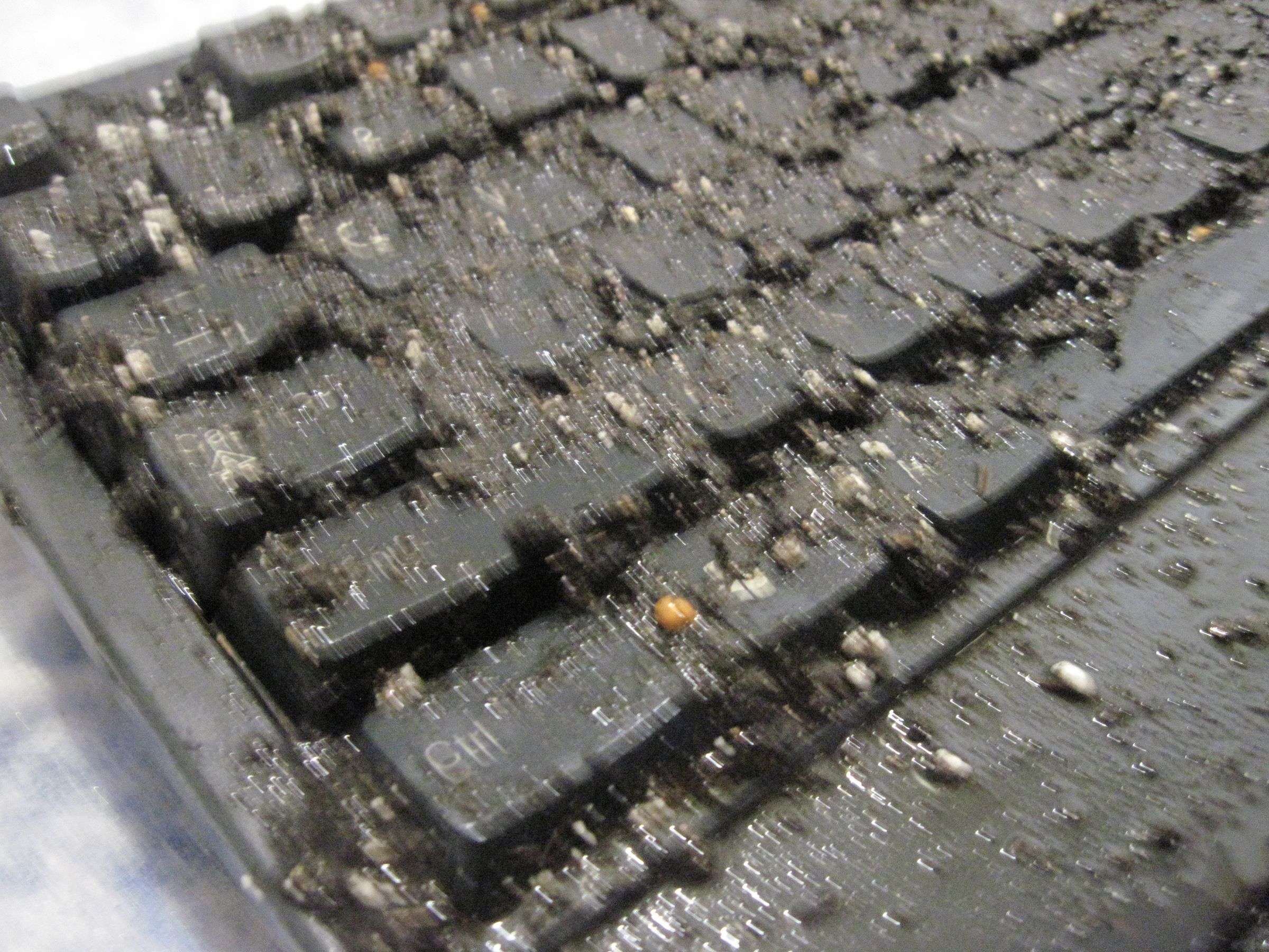 Grow a Keyboard : 10 Steps (with Pictures) - Instructables