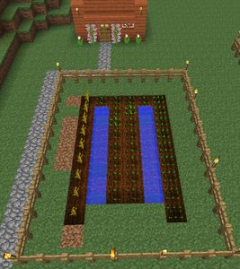 Farming in Minecraft : 10 Steps (with Pictures) - Instructables