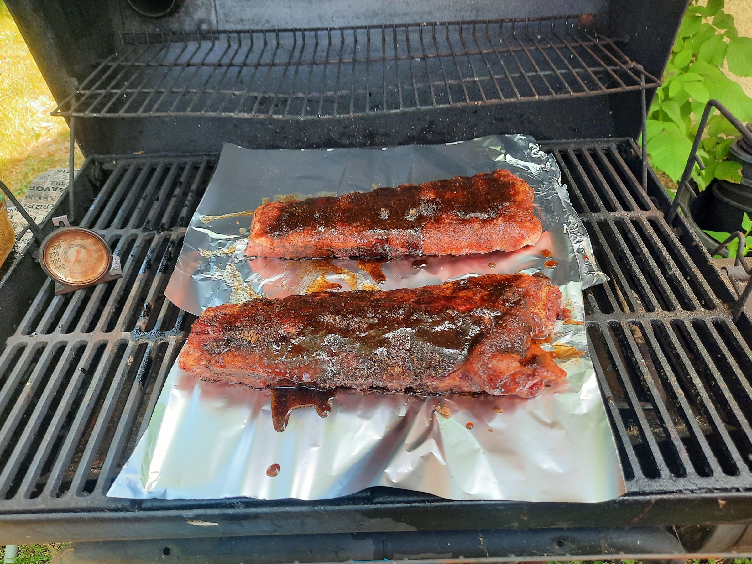 Amazing and Versatile Rib Rub : 11 Steps (with Pictures) - Instructables