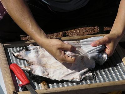 Make a Rabbit Fur Hat From Scratch : 5 Steps (with Pictures ...