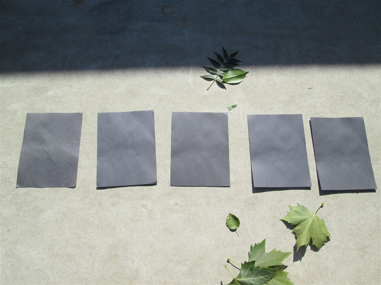 DIY Construction Paper Solar Prints : 6 Steps (with Pictures ...