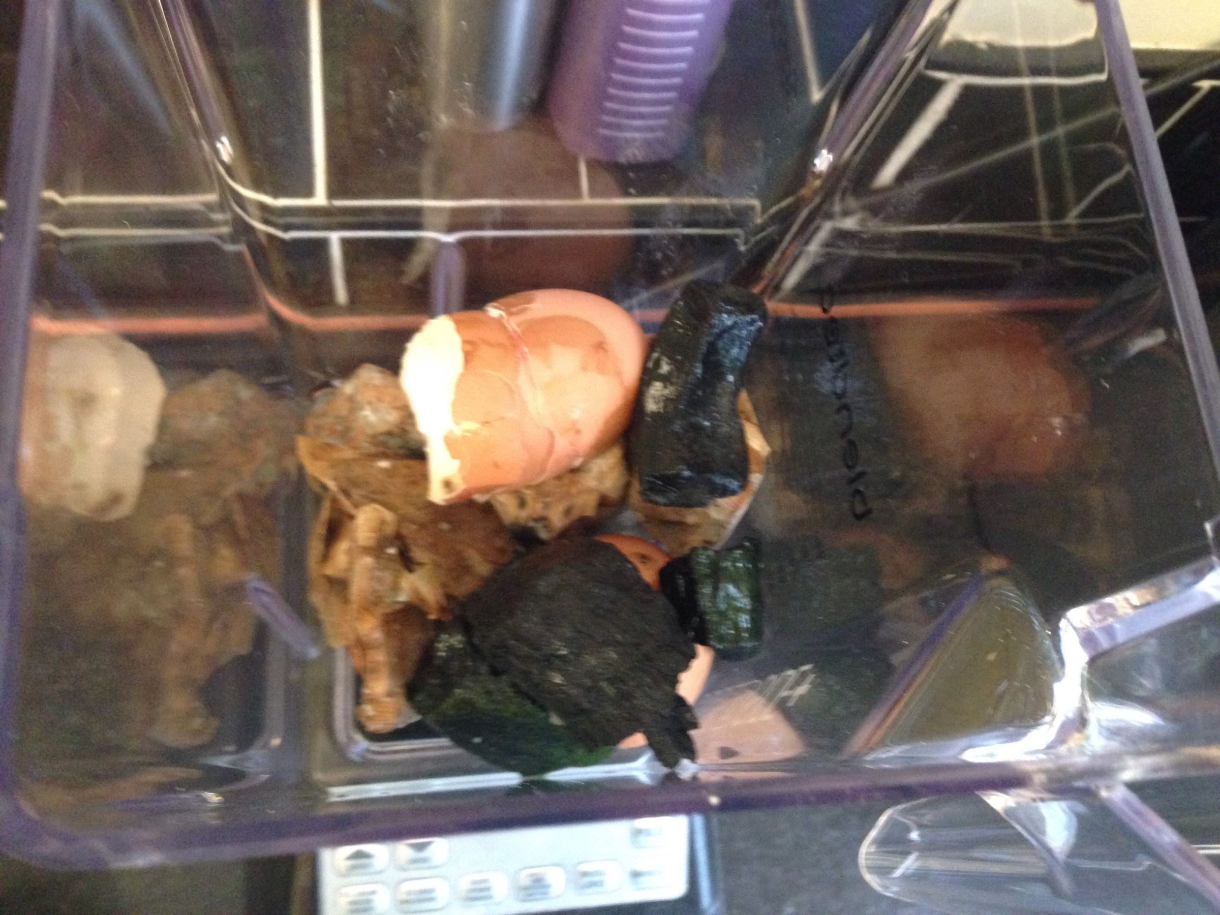 Make Worm Food for Your Wormery : 4 Steps (with Pictures) - Instructables