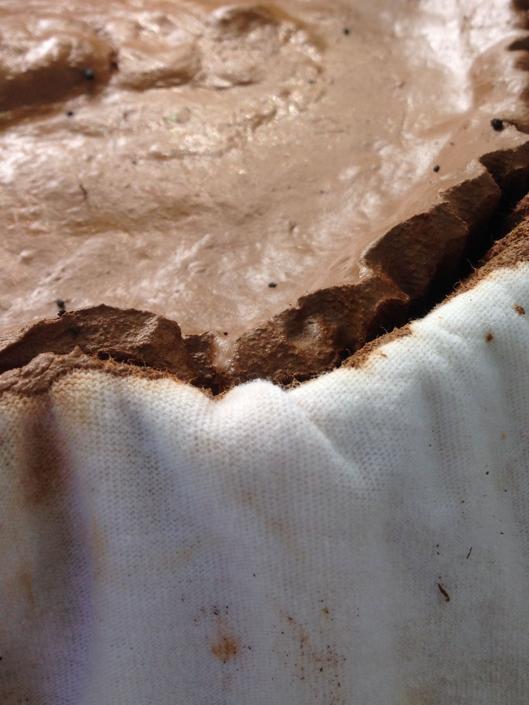 Harvesting Your Own Clay, Dirty But Delightful! : 22 Steps (with ...