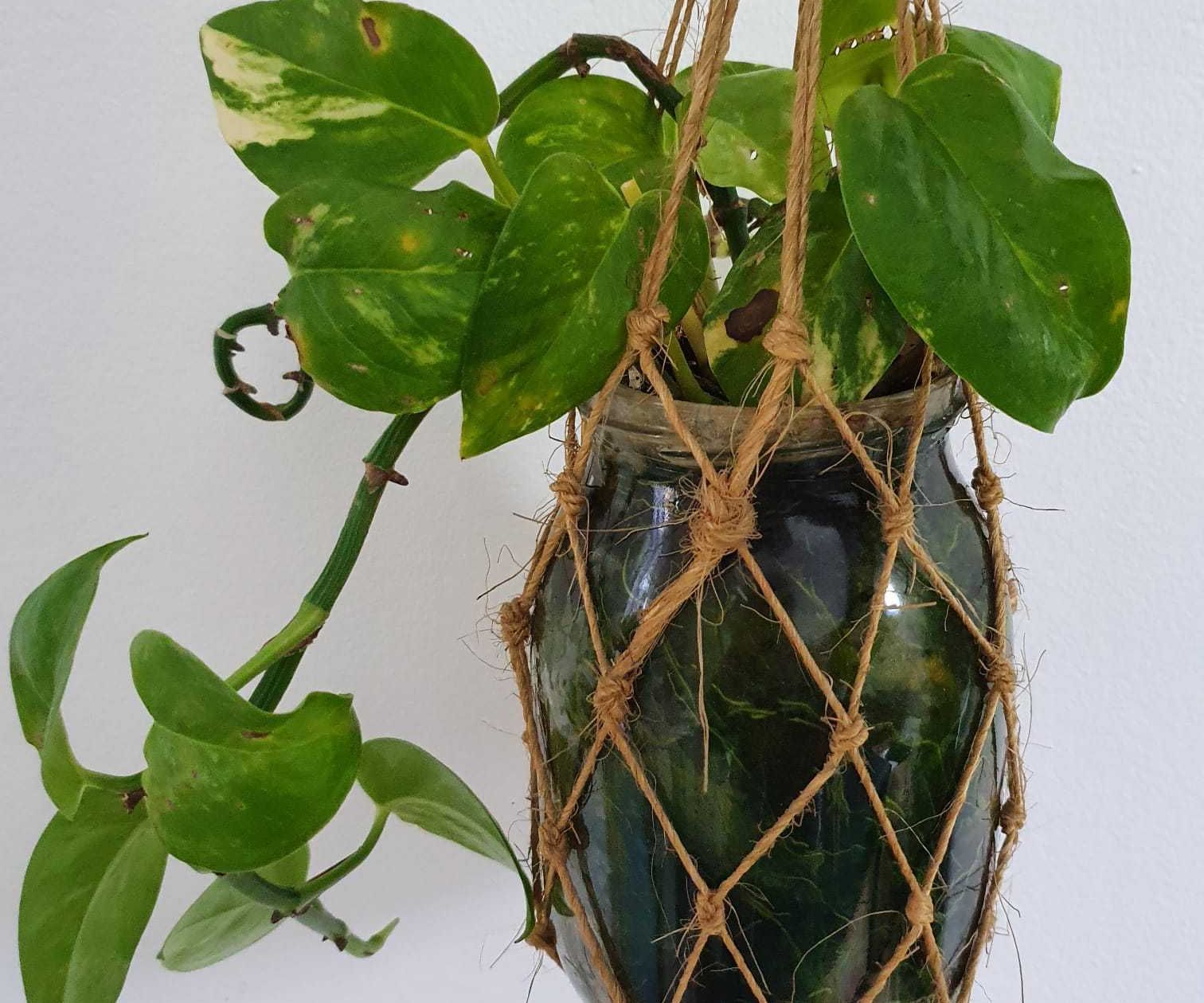 Custom Plant Pots : 3 Steps - Instructables