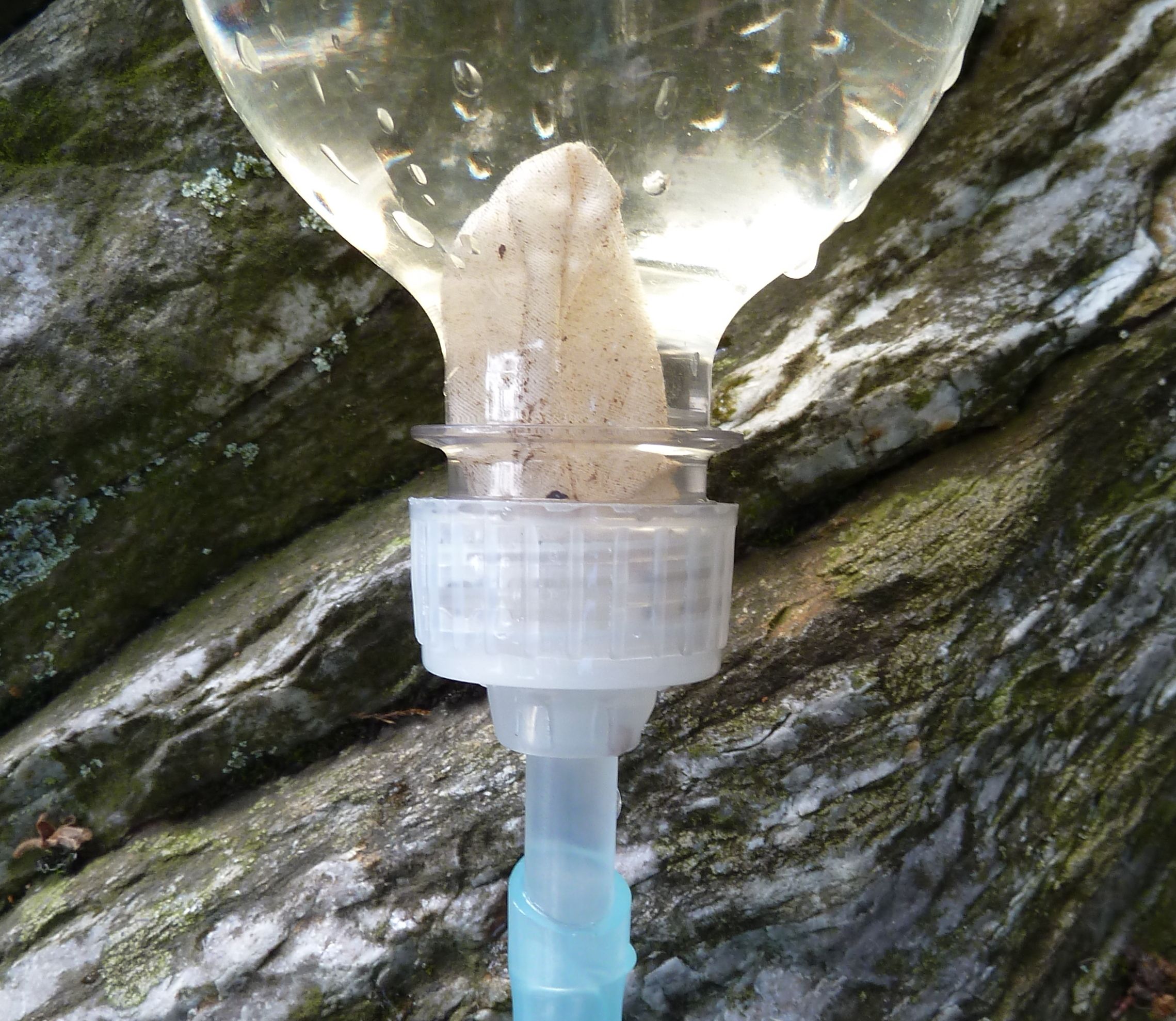 Simple Water Purification Experiment at Mae Kimbrell blog