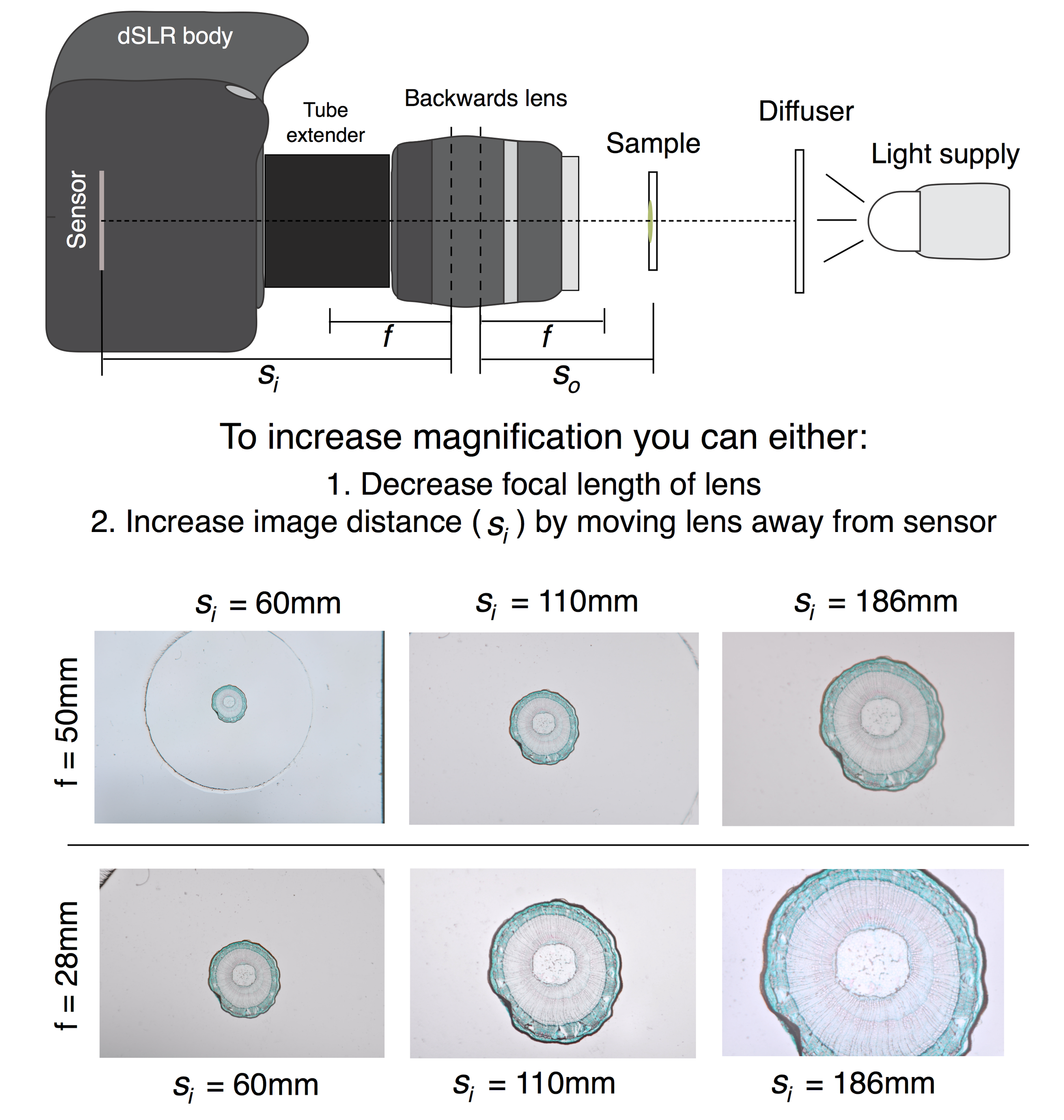 Low-cost Fluorescence and Brightfield Microscopes : 9 Steps (with ...