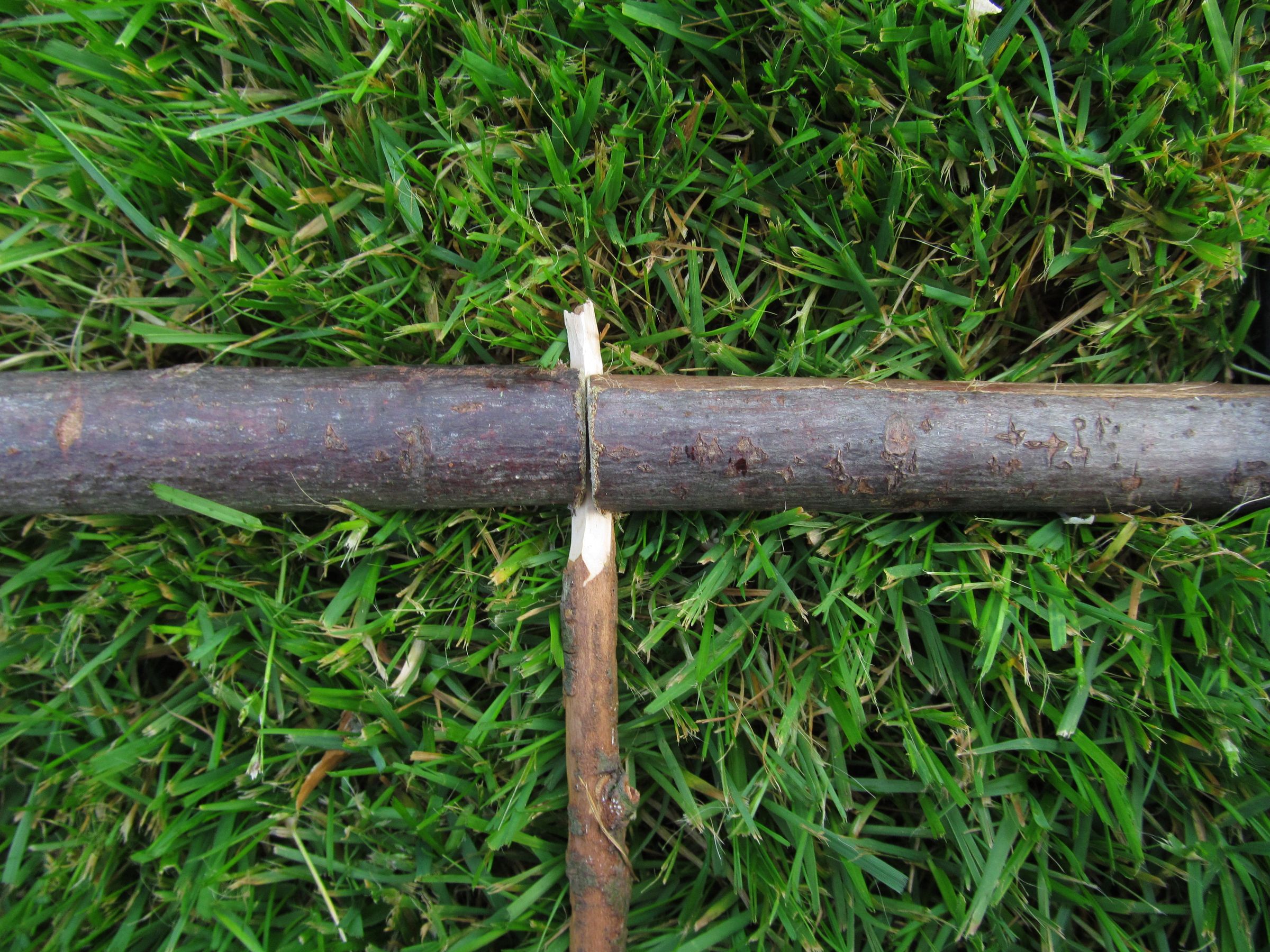 Split Stick Deadfall Trap : 4 Steps (with Pictures) - Instructables
